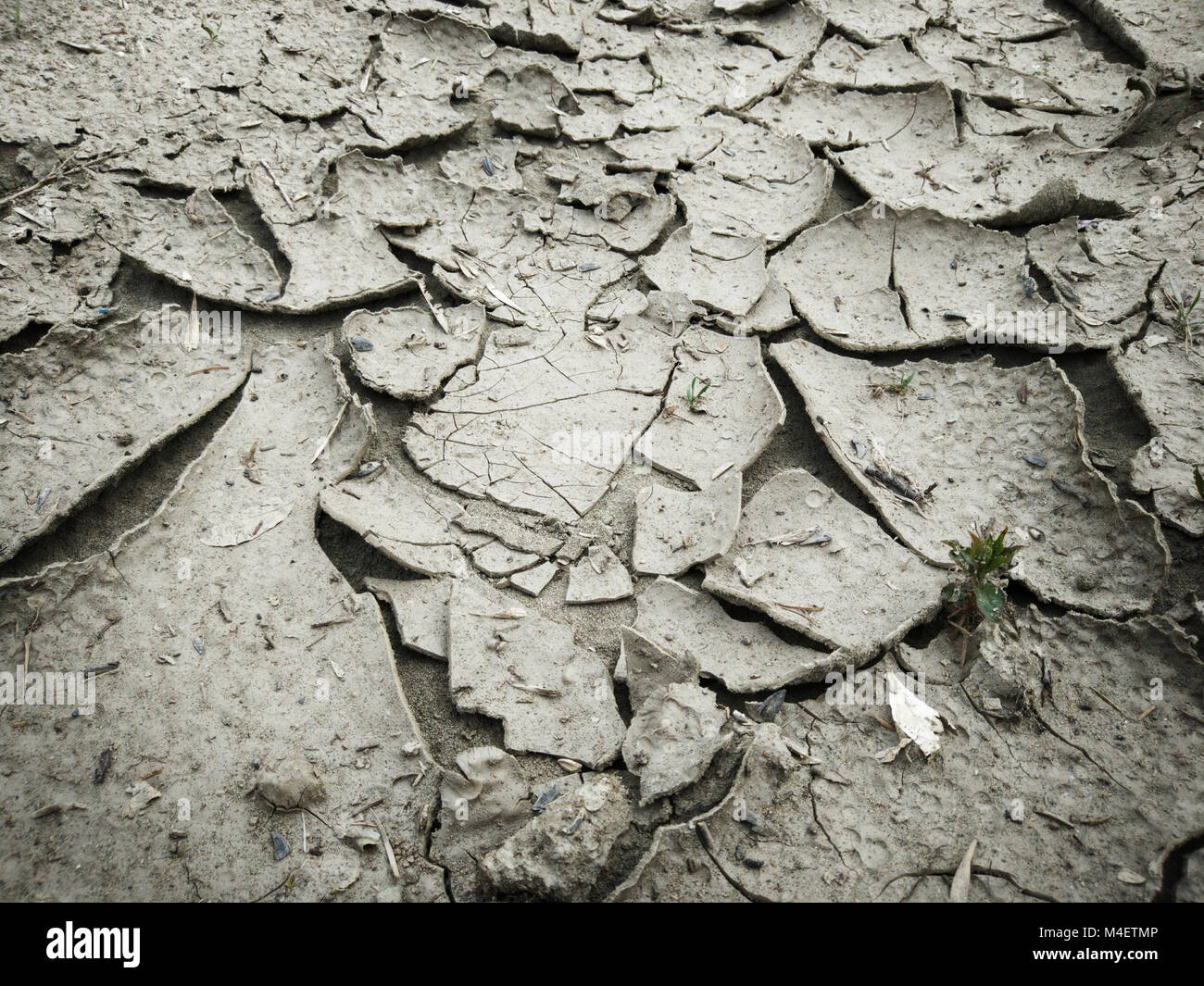 Dry cracked earth Stock Photo - Alamy
