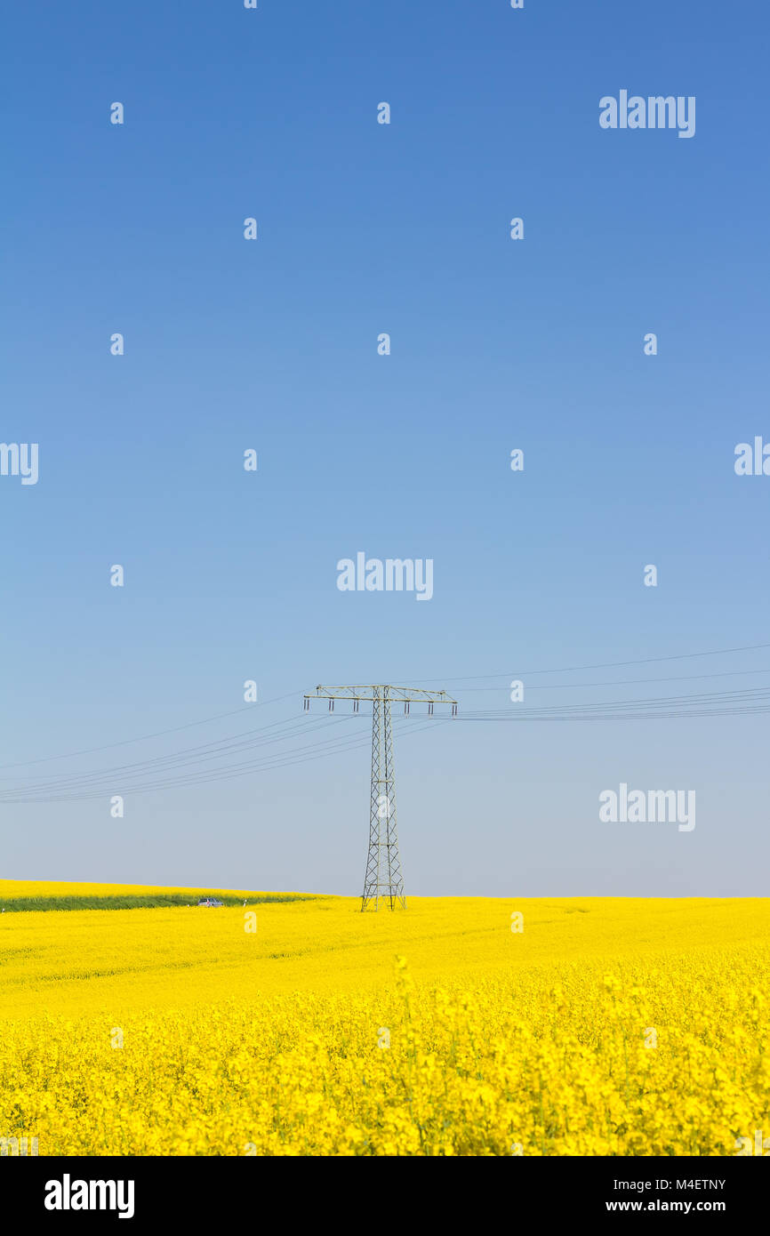 Yellow oilseed rape field with pylon in the background Stock Photo - Alamy