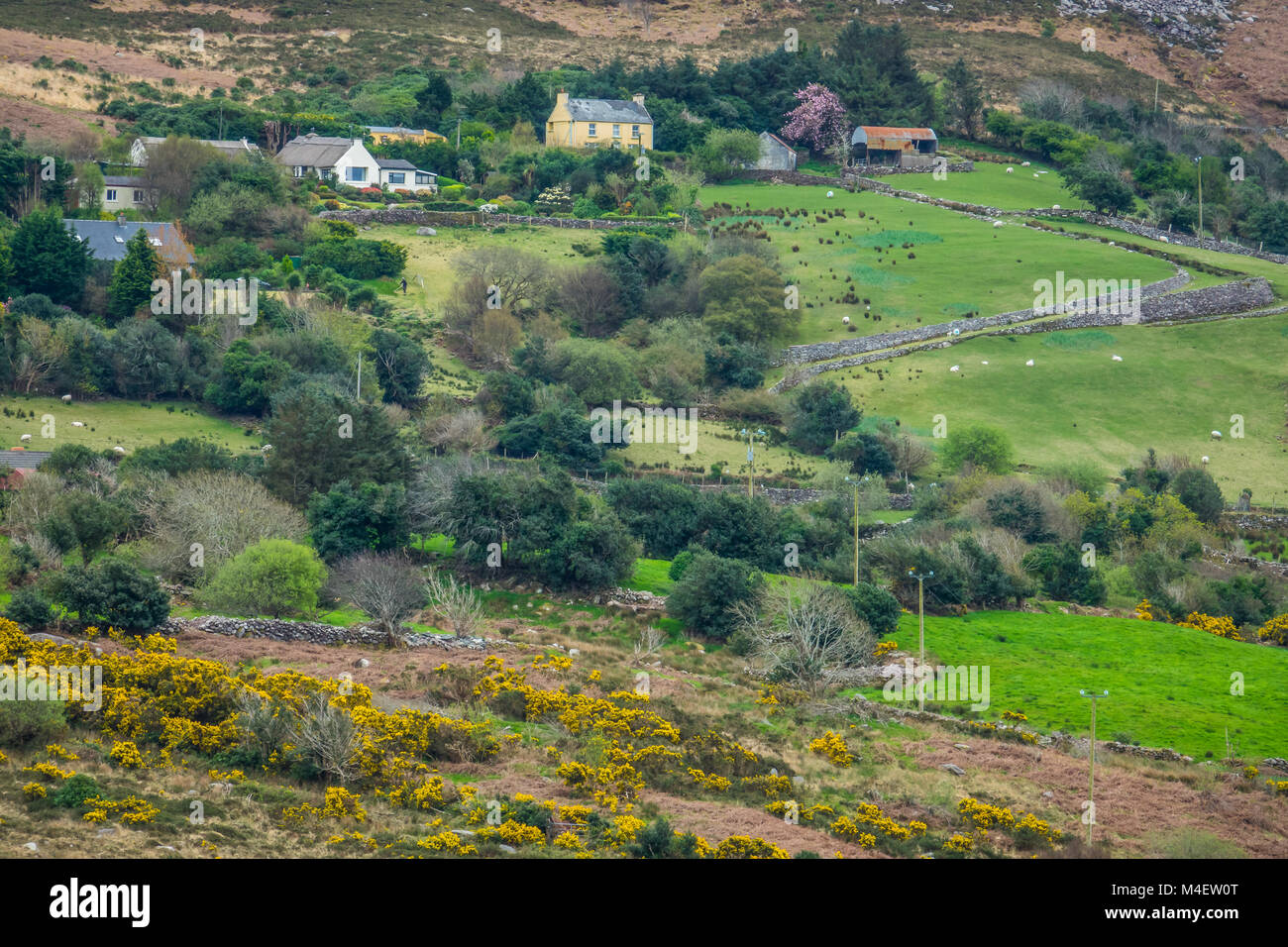 Farm in the rural Irish landscape Stock Photo - Alamy
