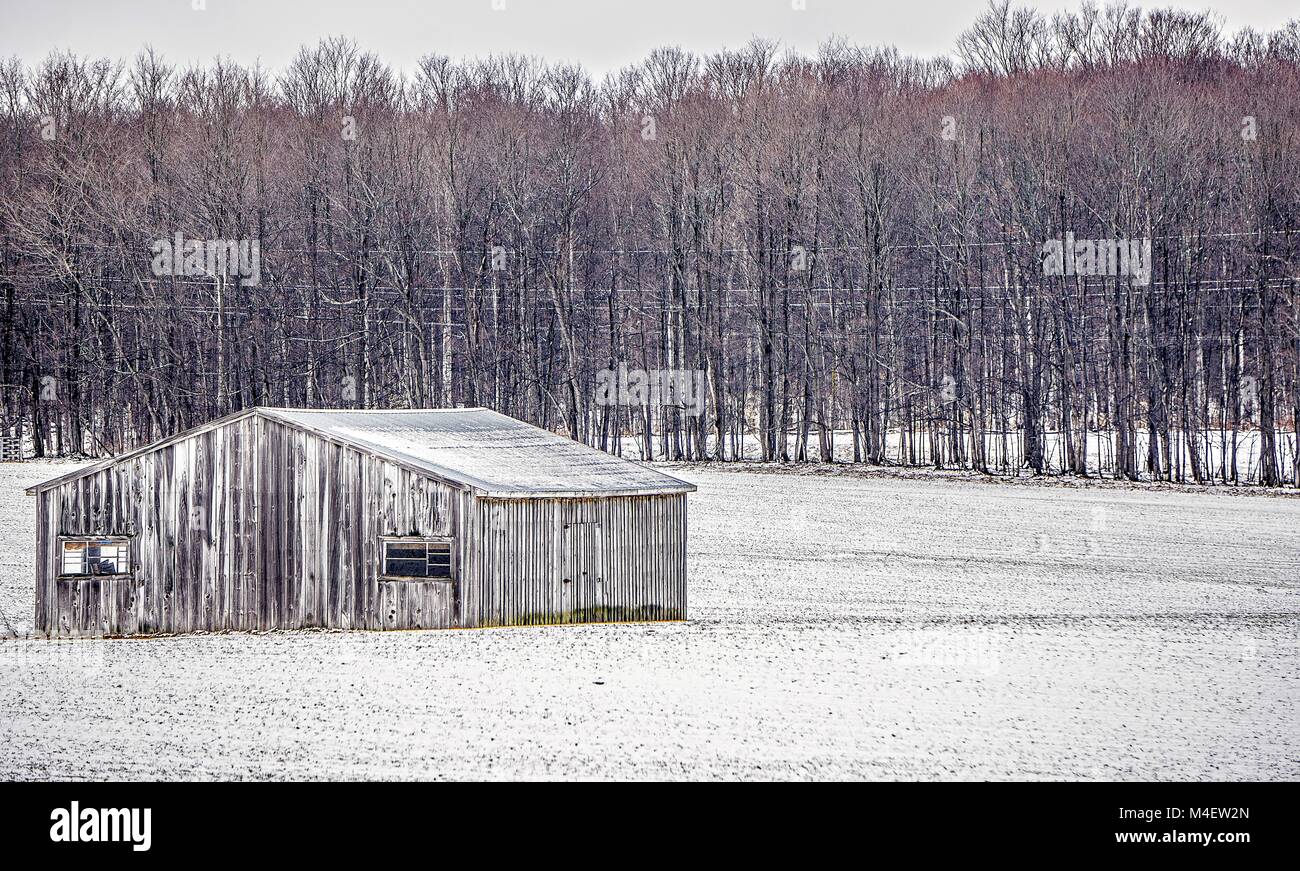 Roadside trees hi-res stock photography and images - Alamy