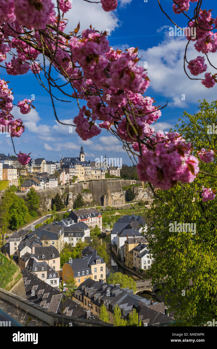 Luxembourg city skyline hi-res stock photography and images - Alamy