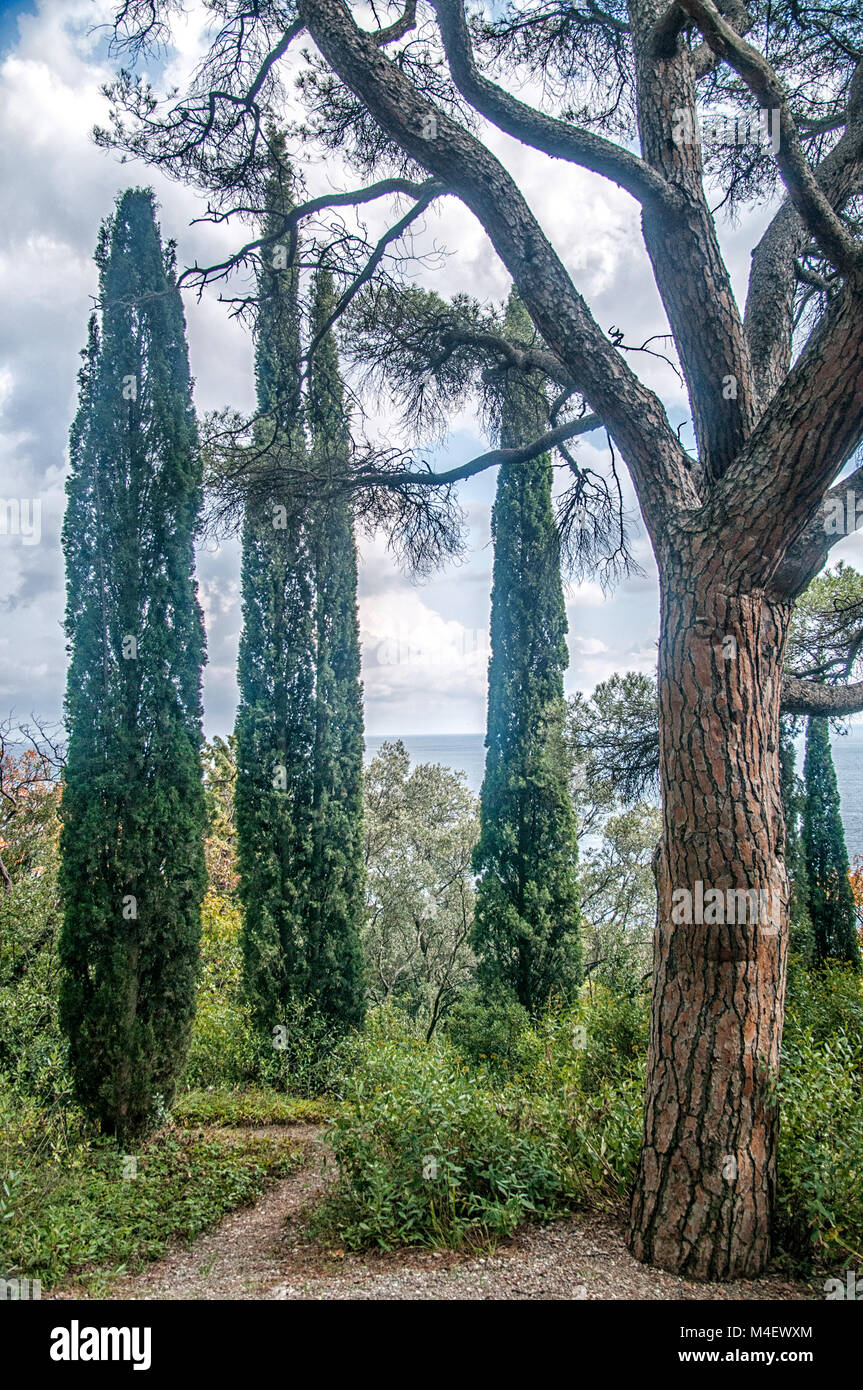Park of the Livadia Palace, Crimea, Russia Stock Photo - Alamy