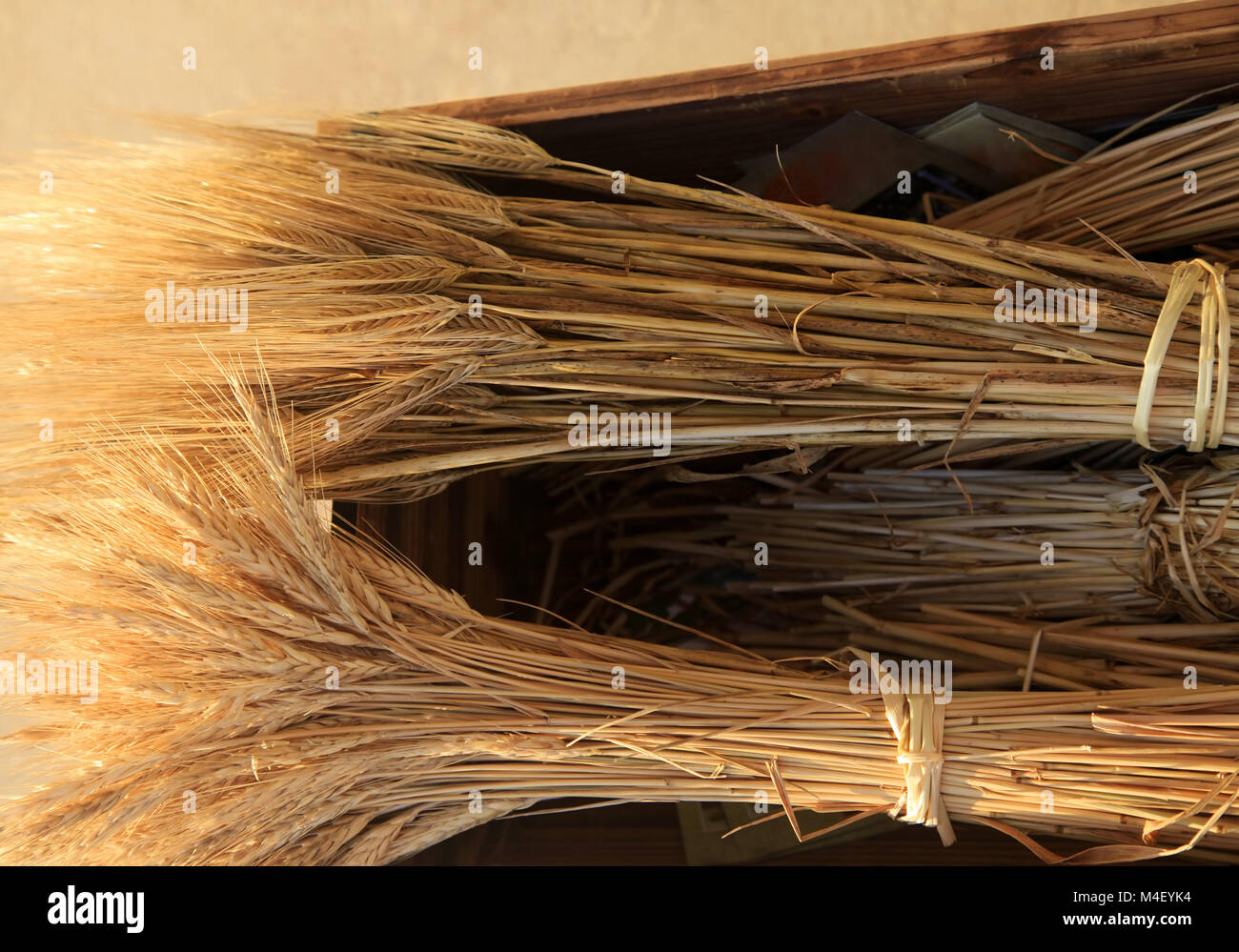 Spikes sign hi-res stock photography and images - Alamy