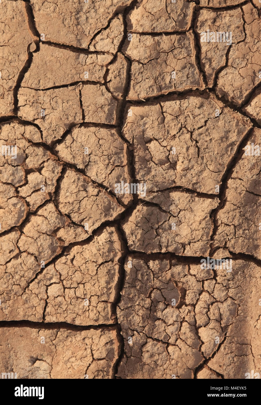 Dry cracked earth background. Clay desert texture Stock Photo - Alamy