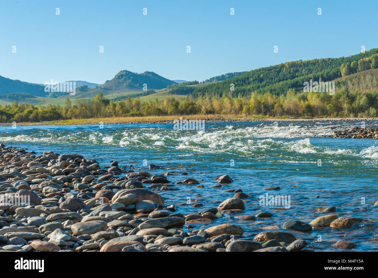Fast mountain river in Altay Stock Photo - Alamy