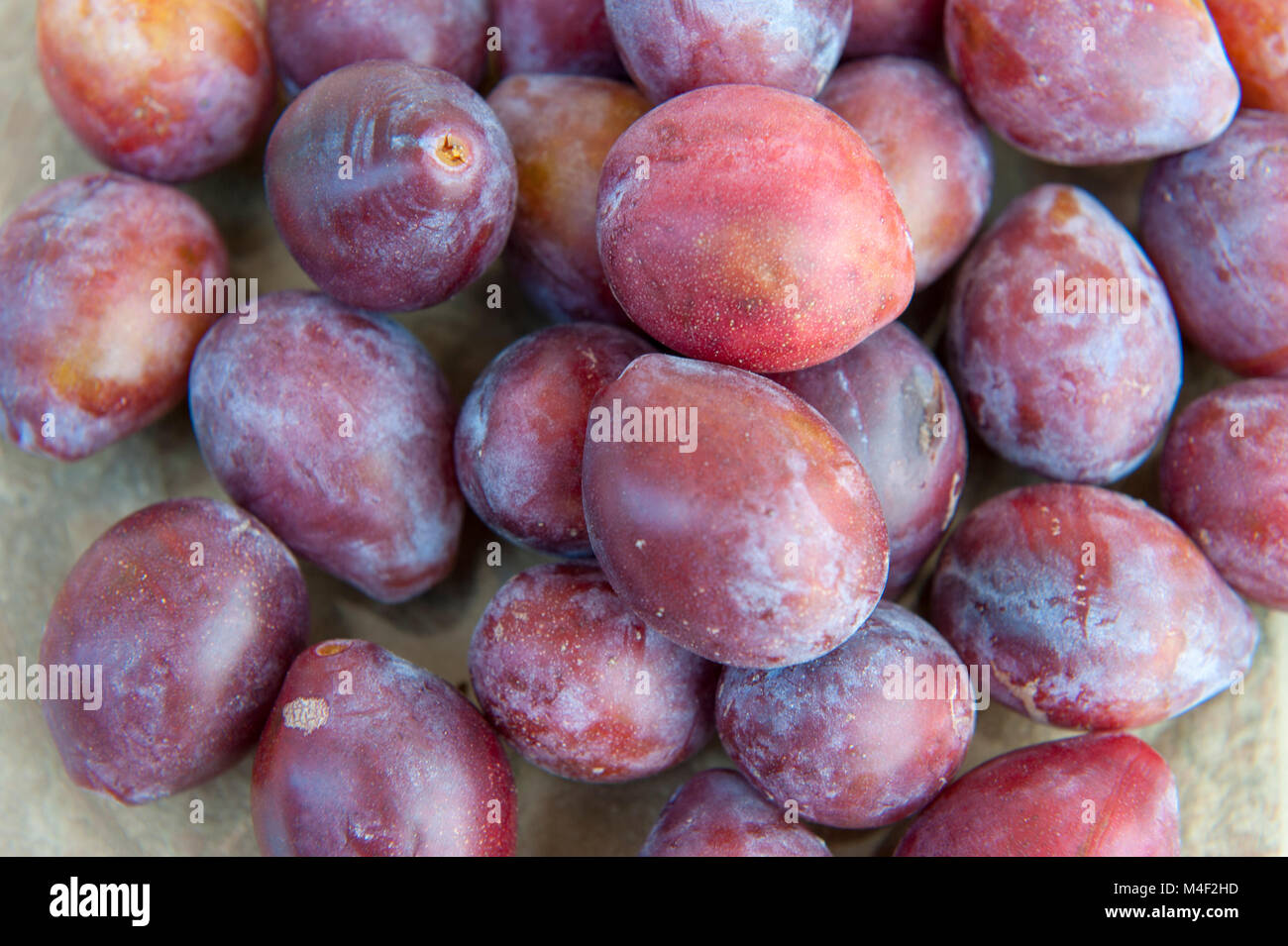 Close of Italian prune plums (Prunus Domestica) on a plate. Bankstown ...
