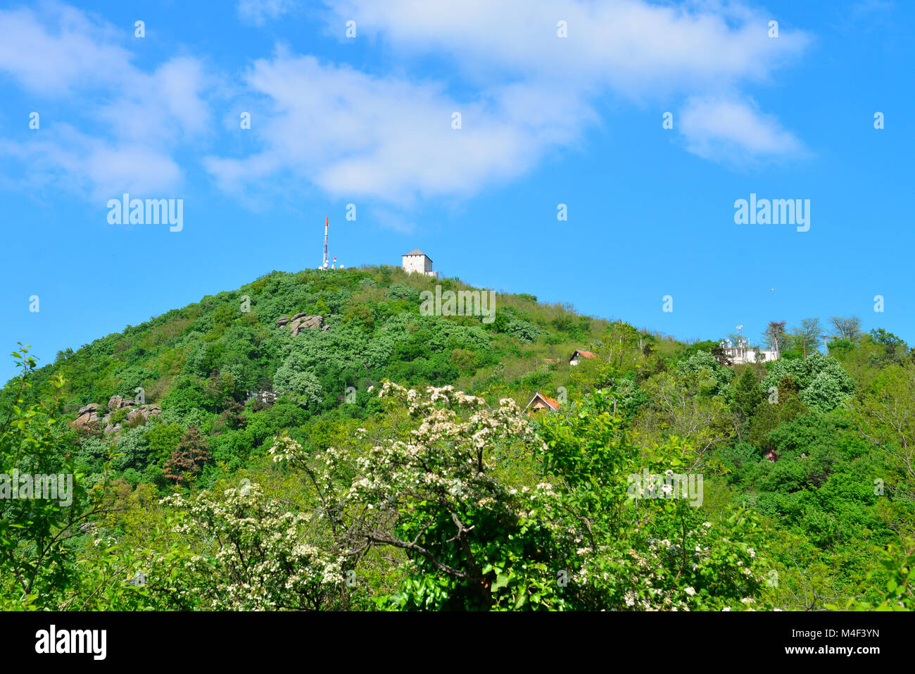 Vrsac tower hi-res stock photography and images - Alamy