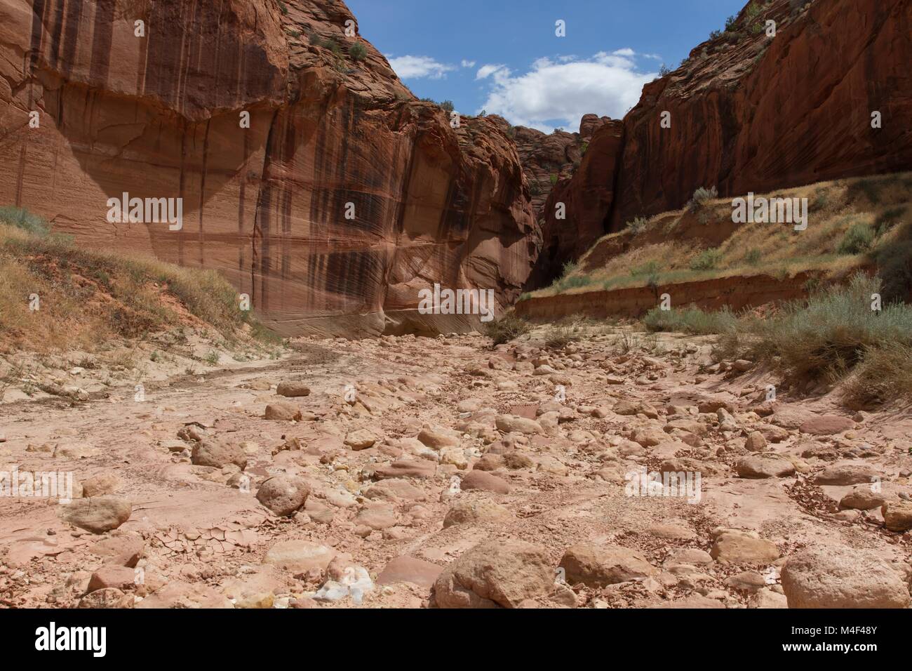 Wire creek hi-res stock photography and images - Alamy