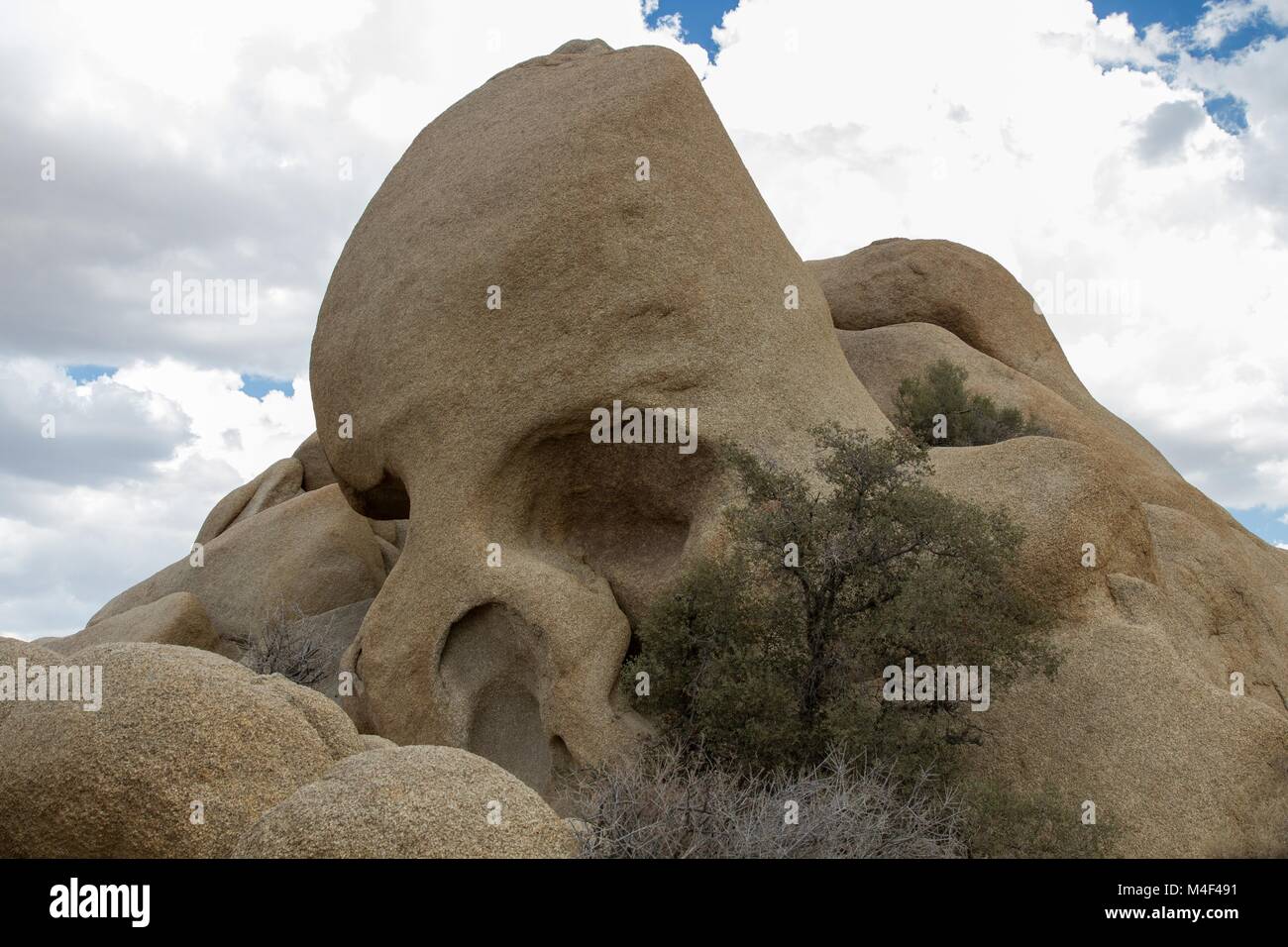 Skull and rock hi-res stock photography and images - Alamy