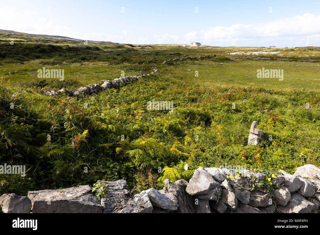 Inish hi-res stock photography and images - Alamy