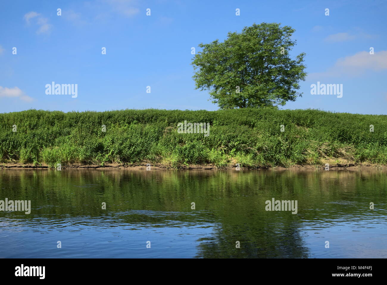 Leine river hanover hi-res stock photography and images - Alamy