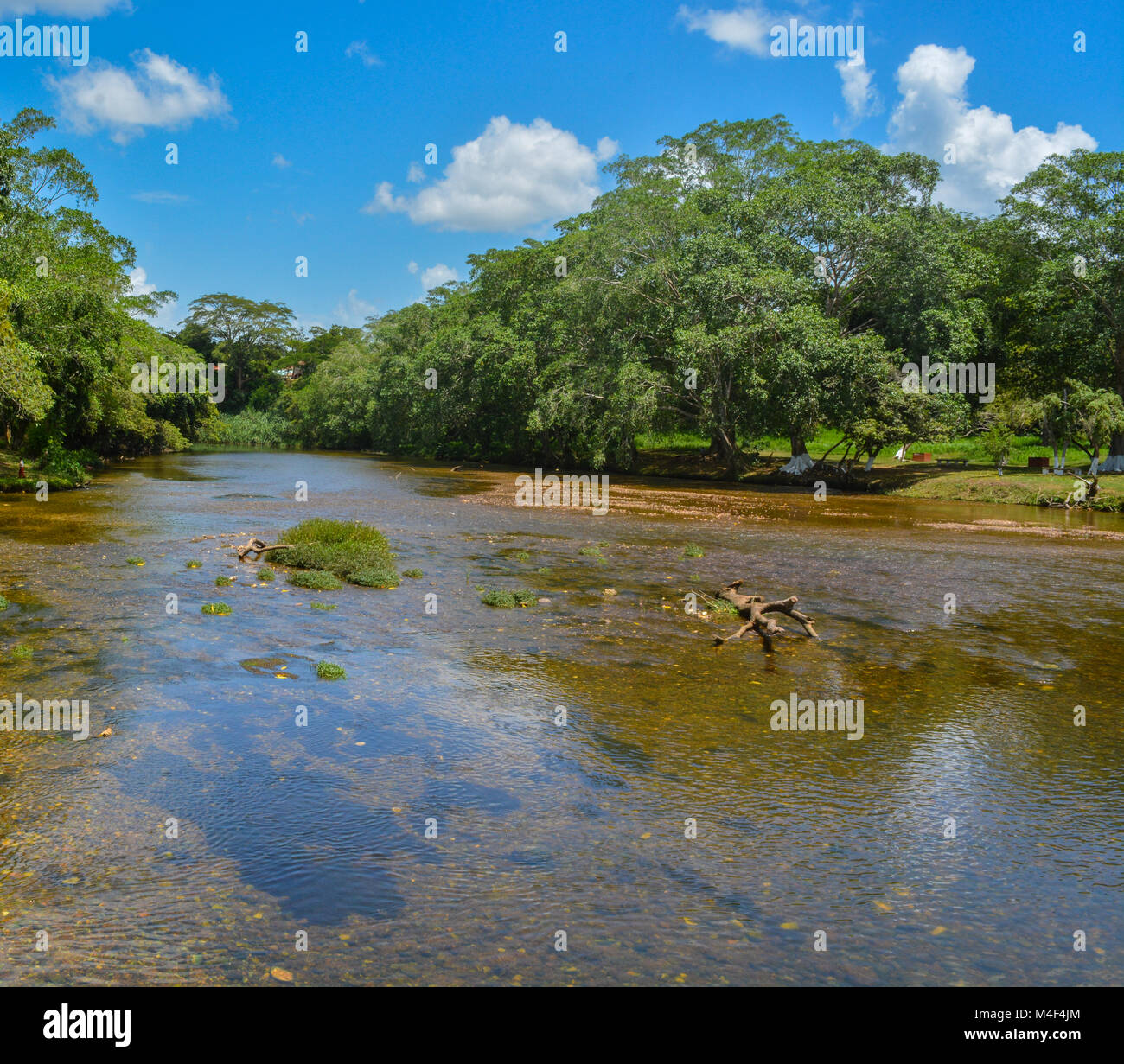 Macal River Flowing through San Ignacio, Belize Stock Photo - Alamy