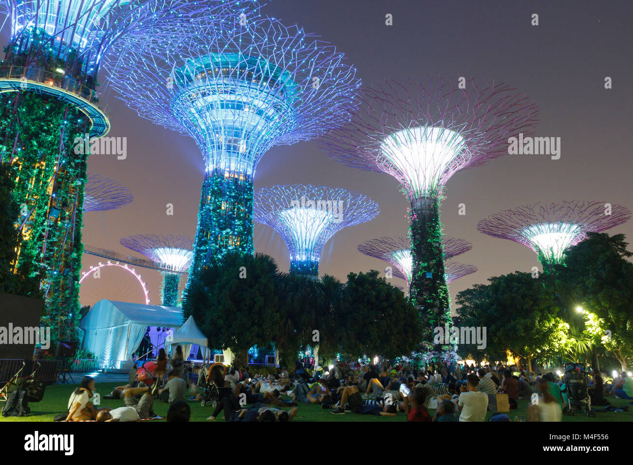 Super tree grove lit up hi-res stock photography and images - Alamy