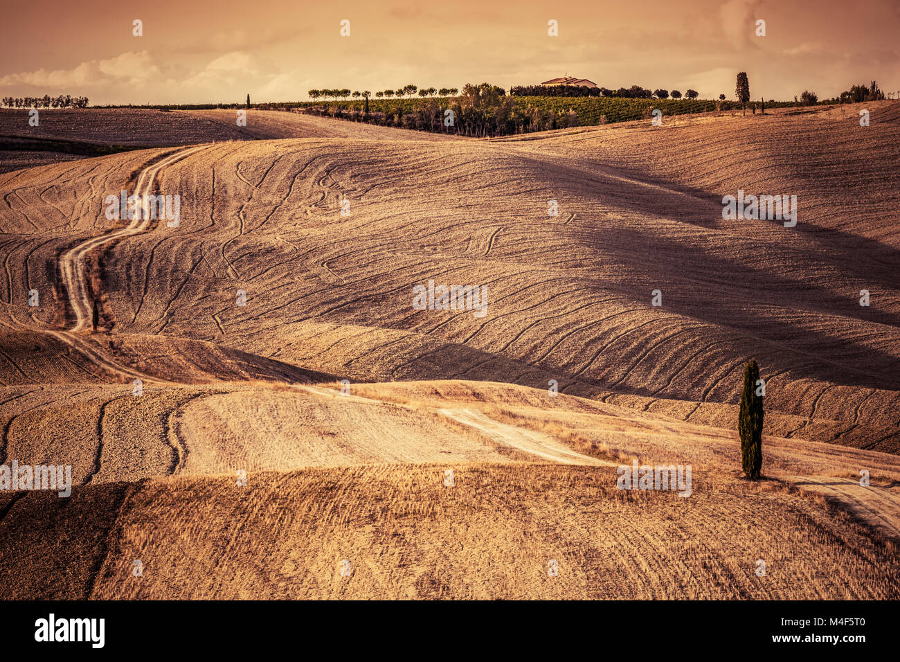 Tuscany fields autumn landscape, Italy. Harvest season Stock Photo - Alamy