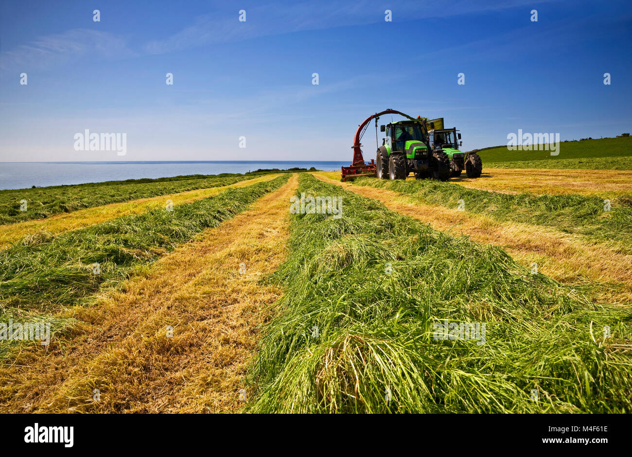 Silage cutter hi-res stock photography and images - Alamy