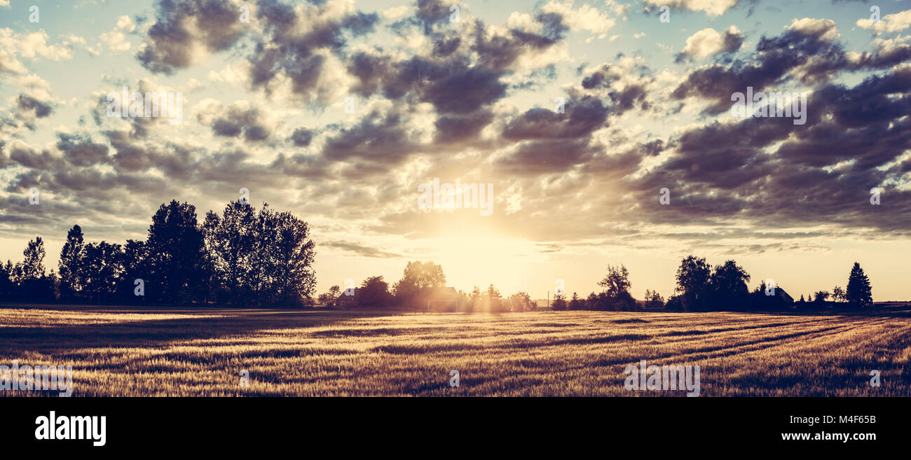 Golden sunset countryside hi-res stock photography and images - Alamy