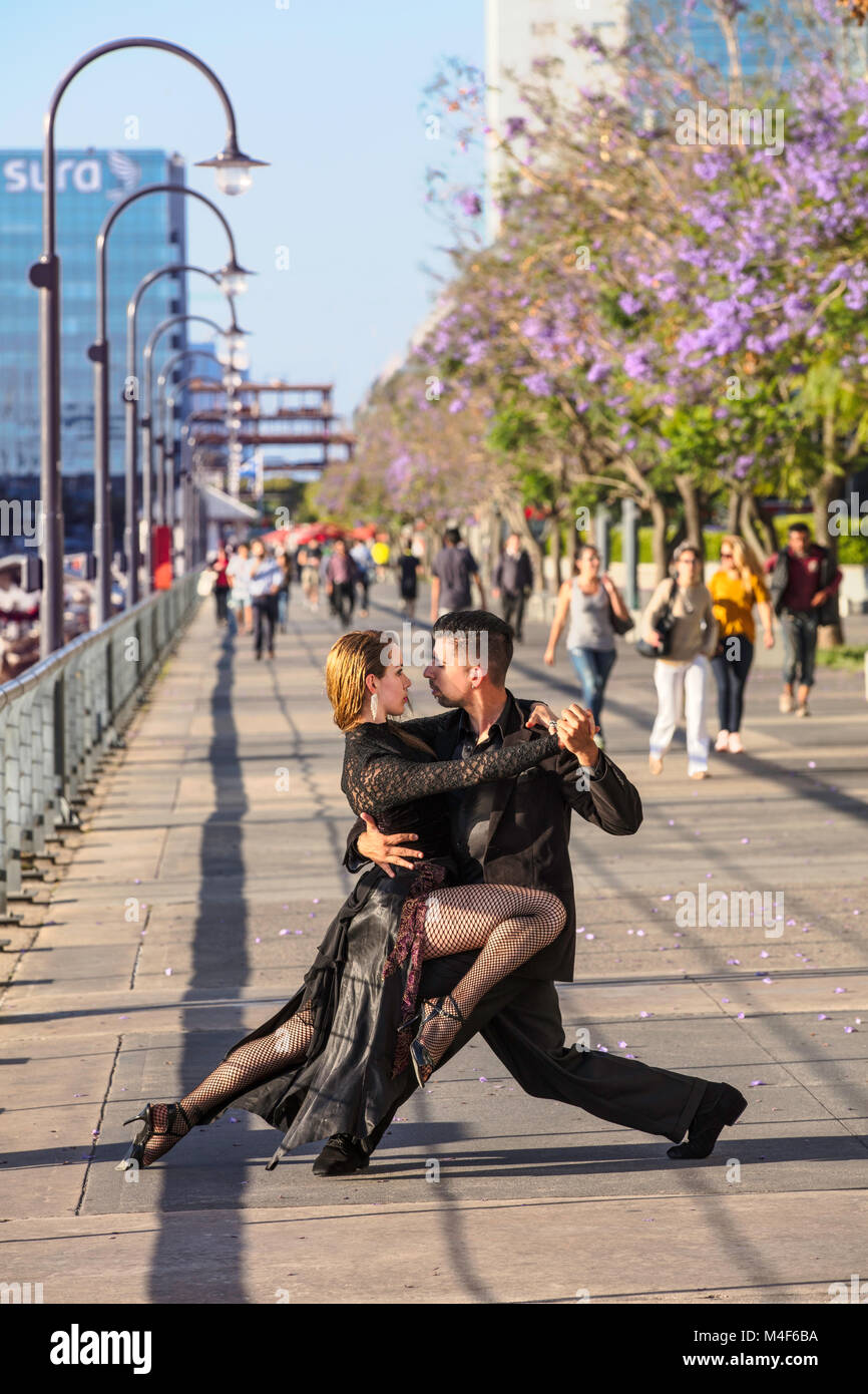 A couple dancing tango in Puerto Madero on springtime, with Jacaranda ...