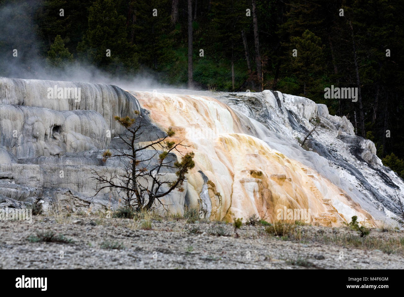 Travertine formations at Mammoth Hot Springs, Yellowstone National Park ...