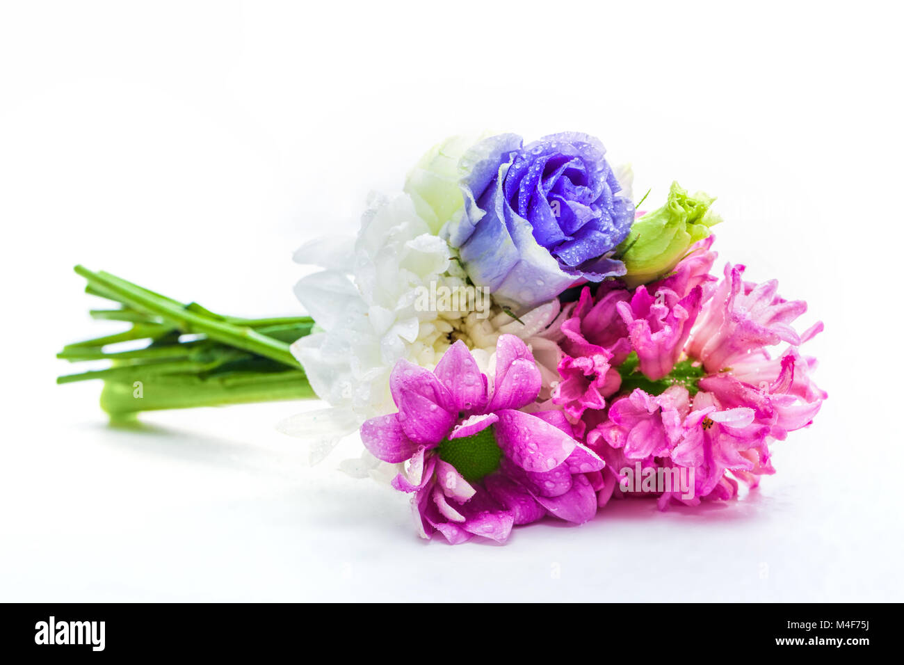 Fresh spring blooms hi-res stock photography and images - Alamy