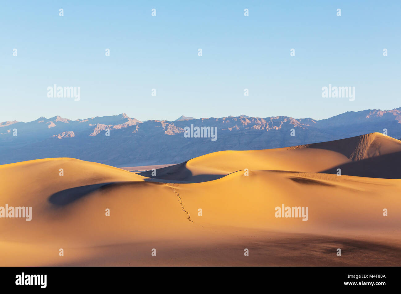Sand dunes in California Stock Photo - Alamy