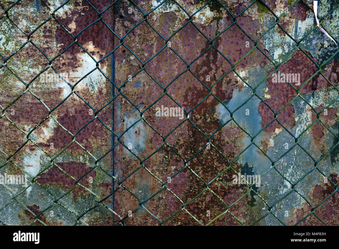 A heavily rusted iron door with rust bubbles damage behind a chain link ...