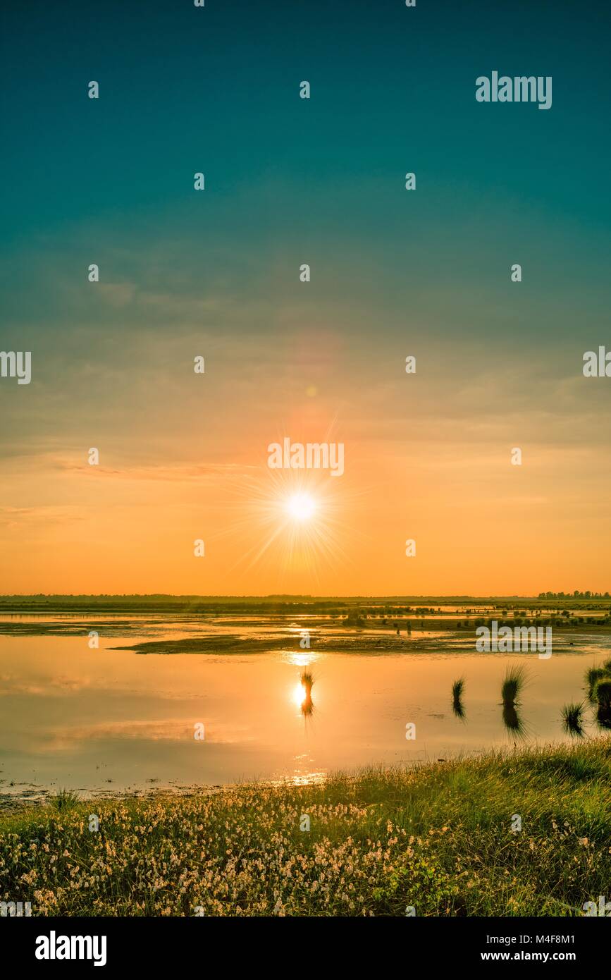 North German moor area Stock Photo - Alamy