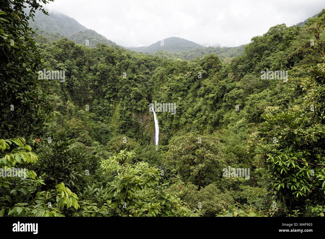 waterfall in the jungle Stock Photo - Alamy