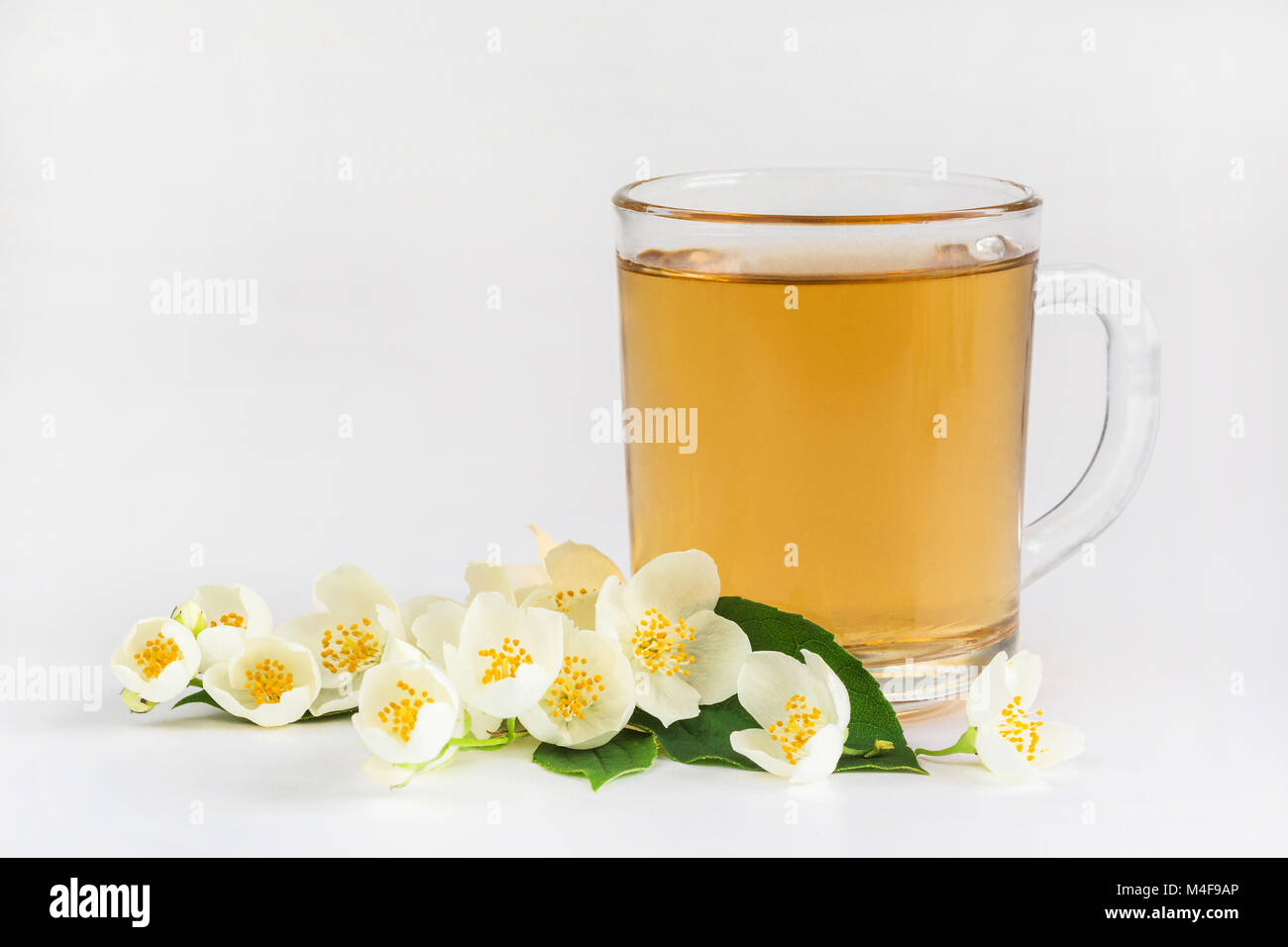 Tea and jasmine flowers Stock Photo - Alamy