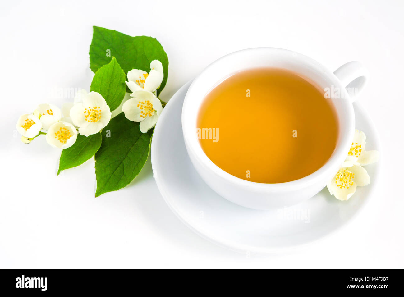 Jasmine whole hi-res stock photography and images - Alamy