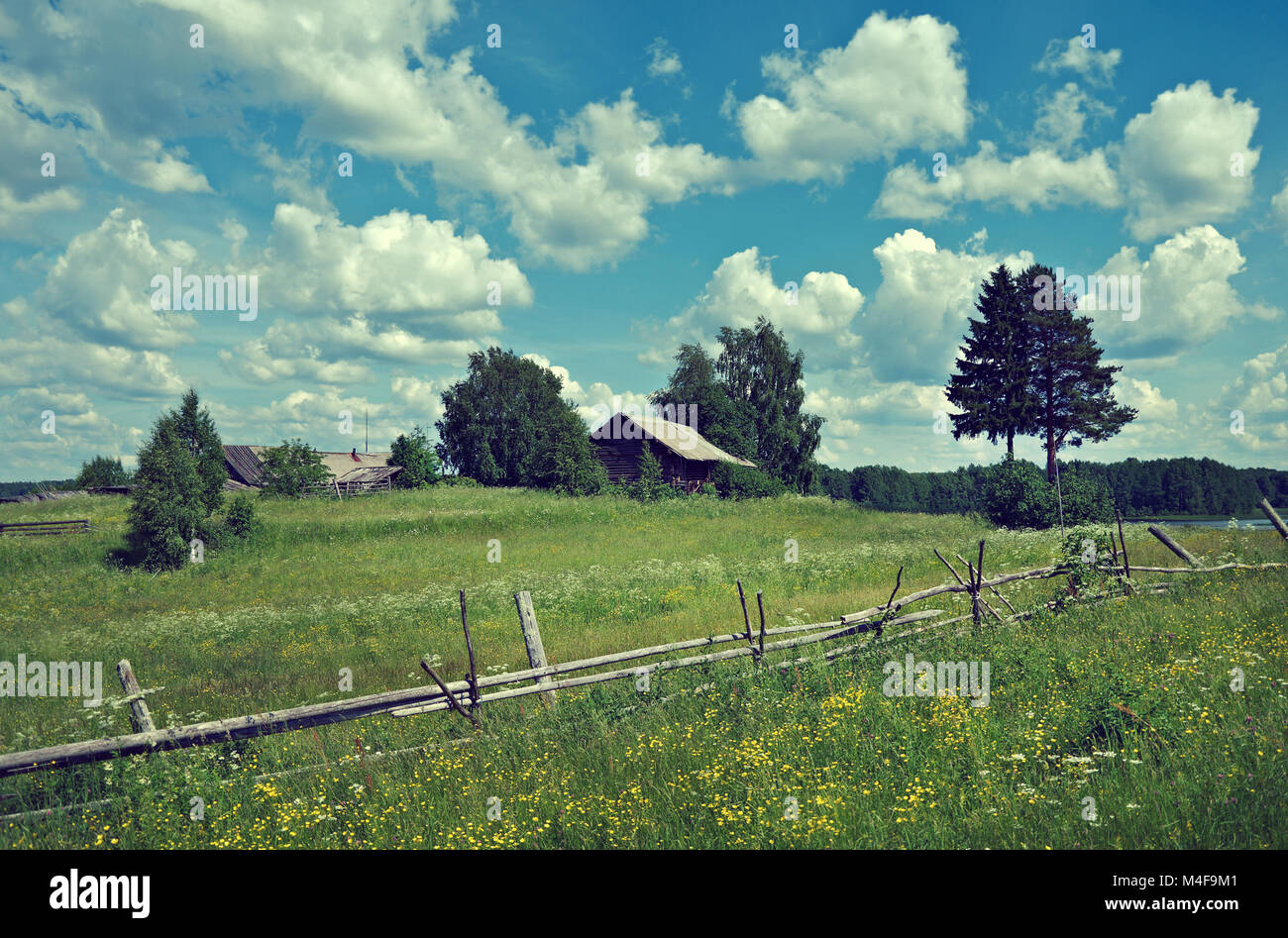 Russian summer meadow Stock Photo - Alamy