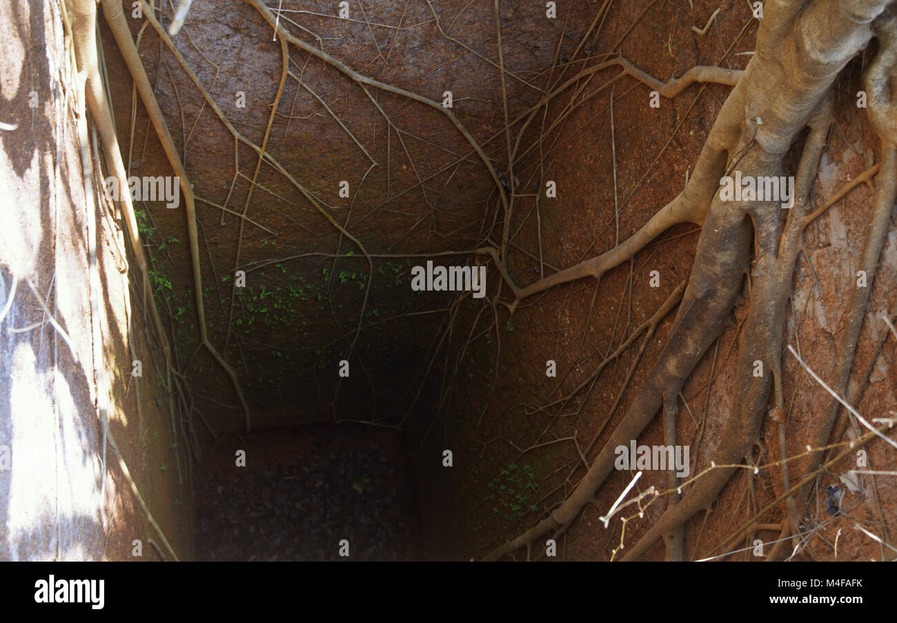 Tree roots hole hi-res stock photography and images - Alamy