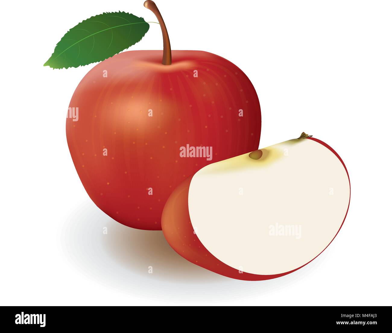 Red apples half apple Stock Vector Images - Alamy
