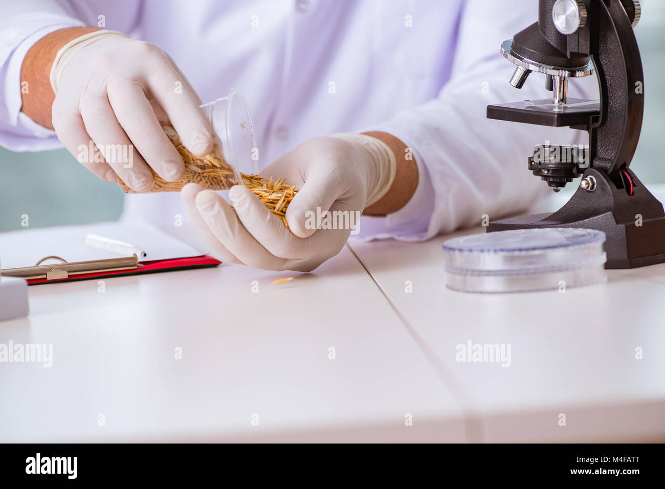 Nutrition expert testing food products in lab Stock Photo - Alamy