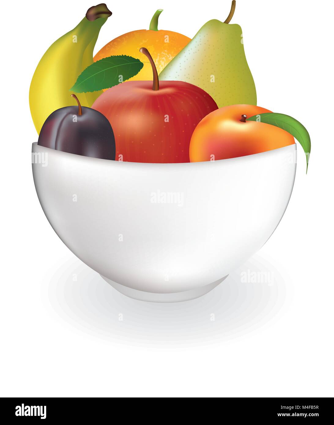 Nectarine fruit fresh fruits Stock Vector Images - Alamy