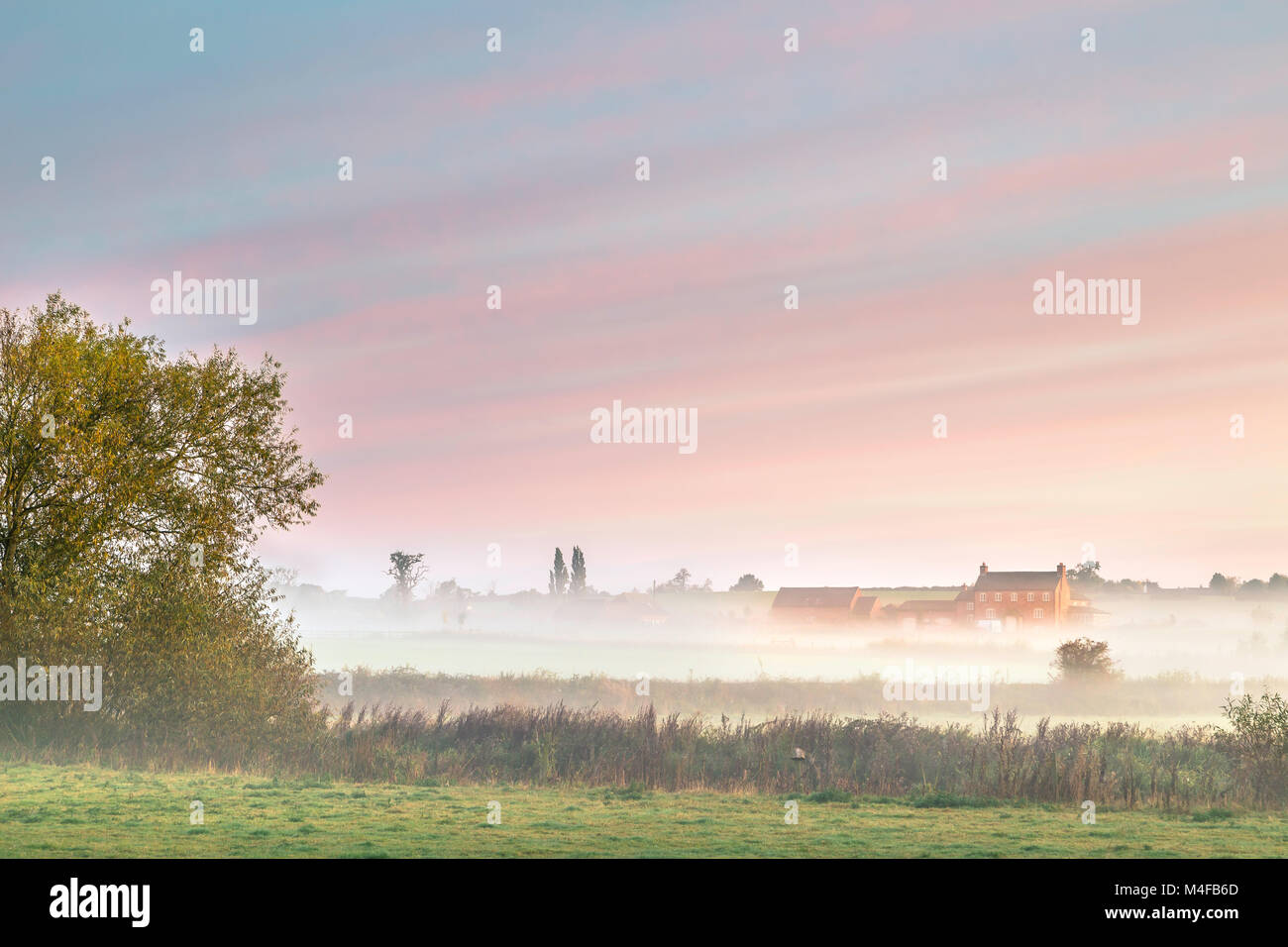 Sheep in rural setting hi-res stock photography and images - Alamy