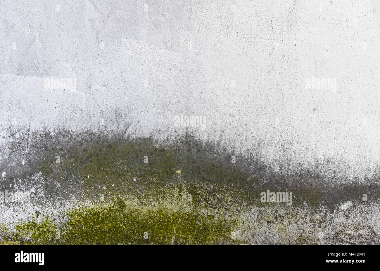 Dirty fungus or mold on the wall texture background Stock Photo - Alamy