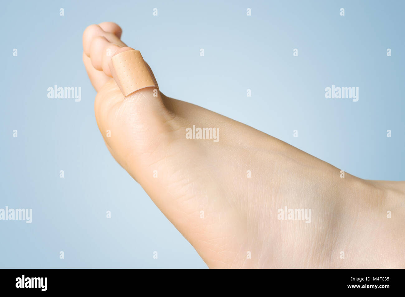 Injured female toe with an adhesive bandage Stock Photo - Alamy