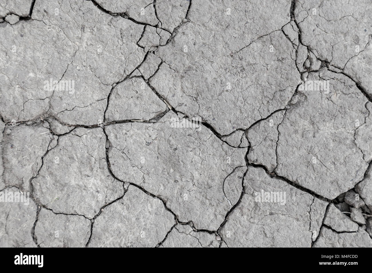 drought, cracked earth in gray. earth without rain. background Stock ...