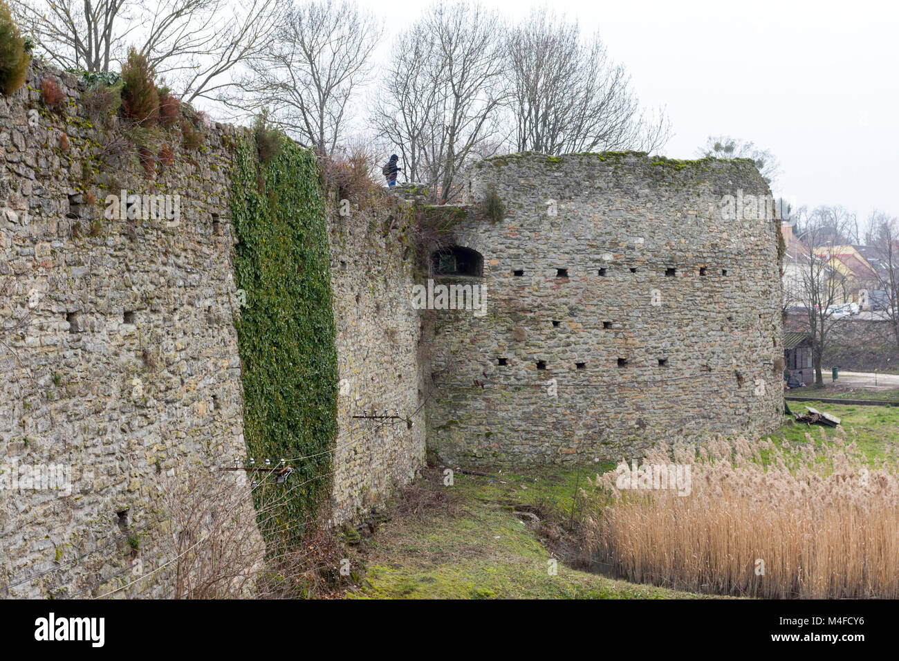 The medieval Tata Castle in Tata, Hungary Stock Photo - Alamy