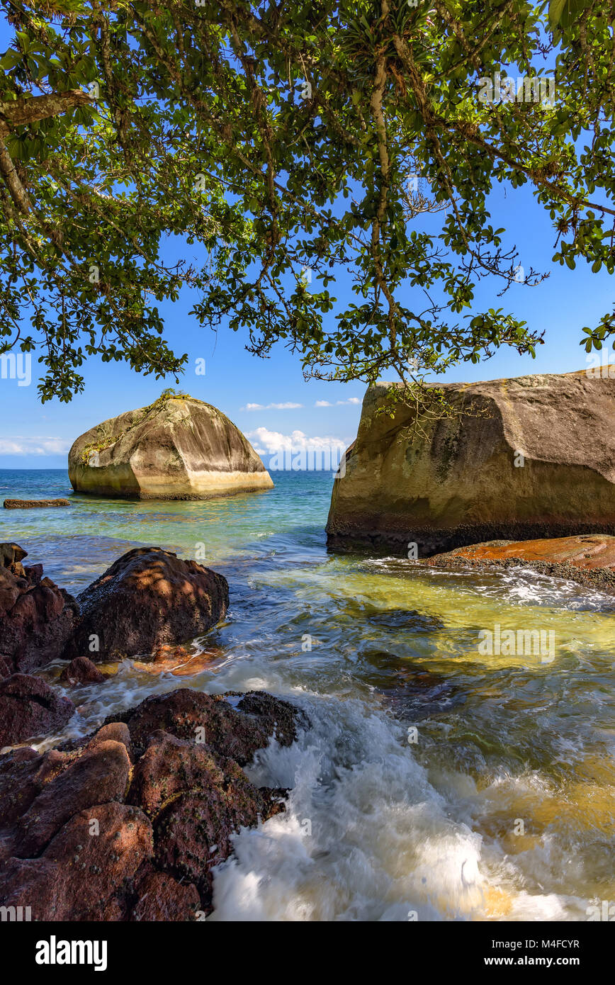 Rainforest protection hi-res stock photography and images - Alamy