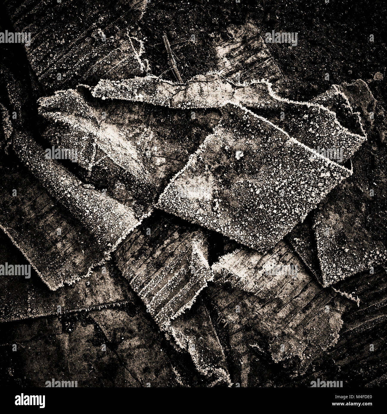 Paper in a landfill Stock Photo - Alamy