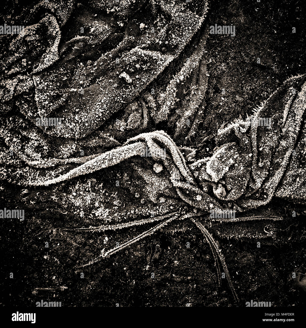 Paper in a landfill Stock Photo - Alamy