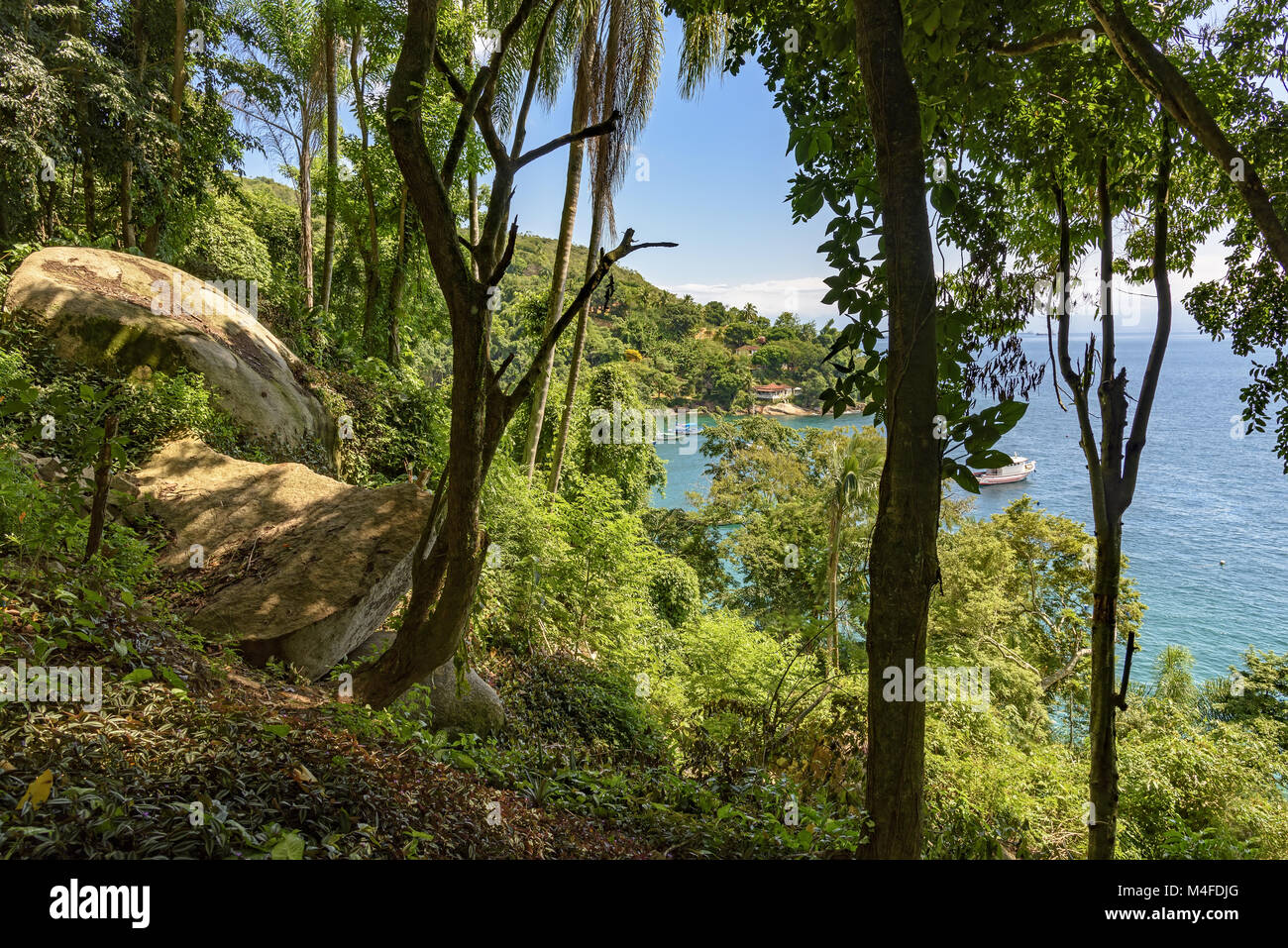 The sea between forest Stock Photo - Alamy