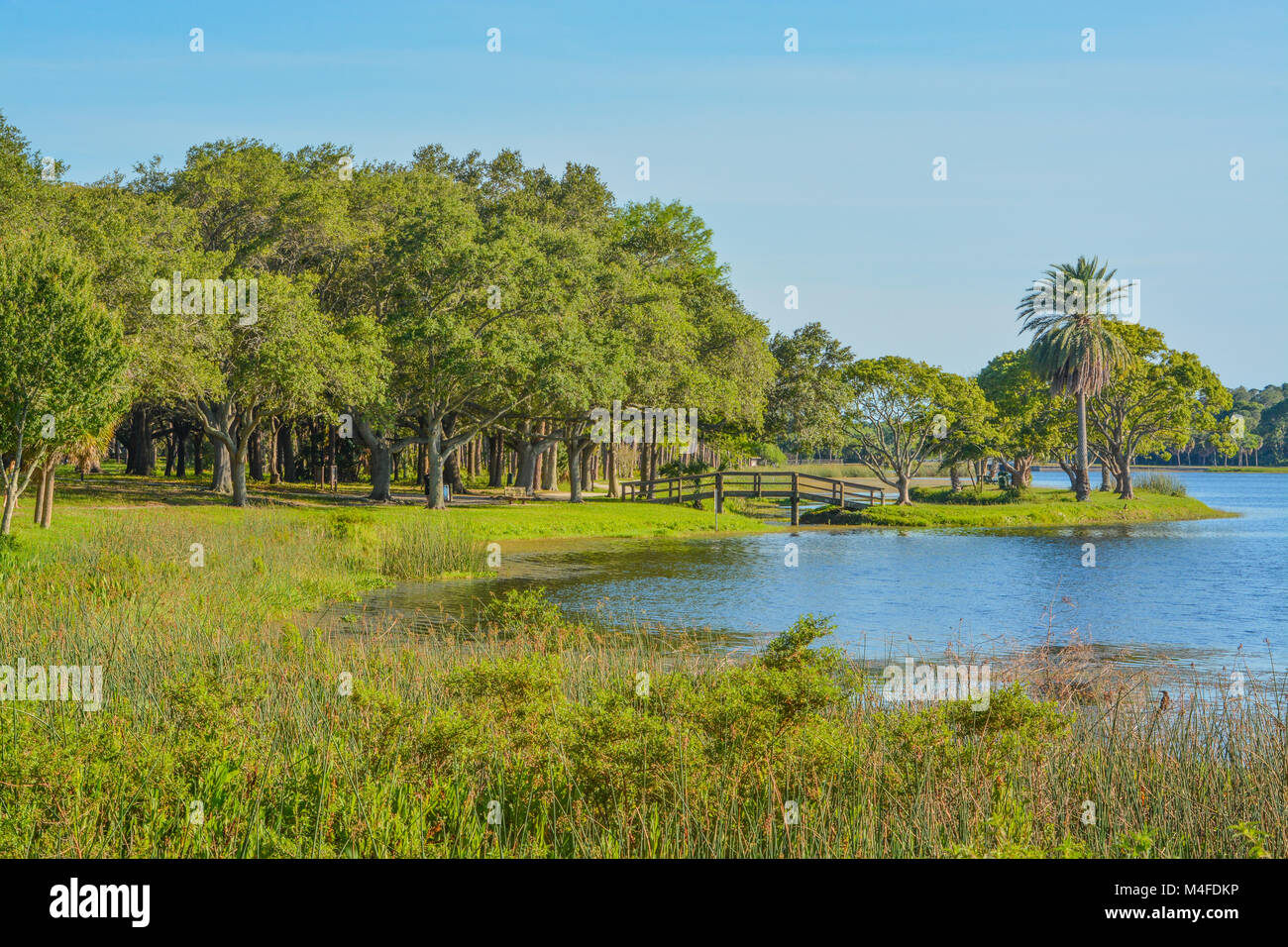 Beautiful walk hi-res stock photography and images - Alamy