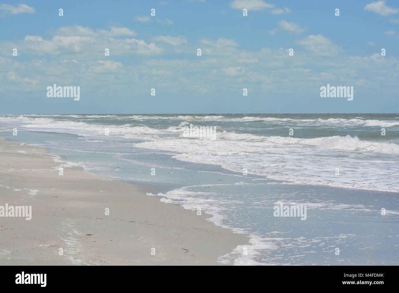 Sea life gulf of mexico hi-res stock photography and images - Alamy