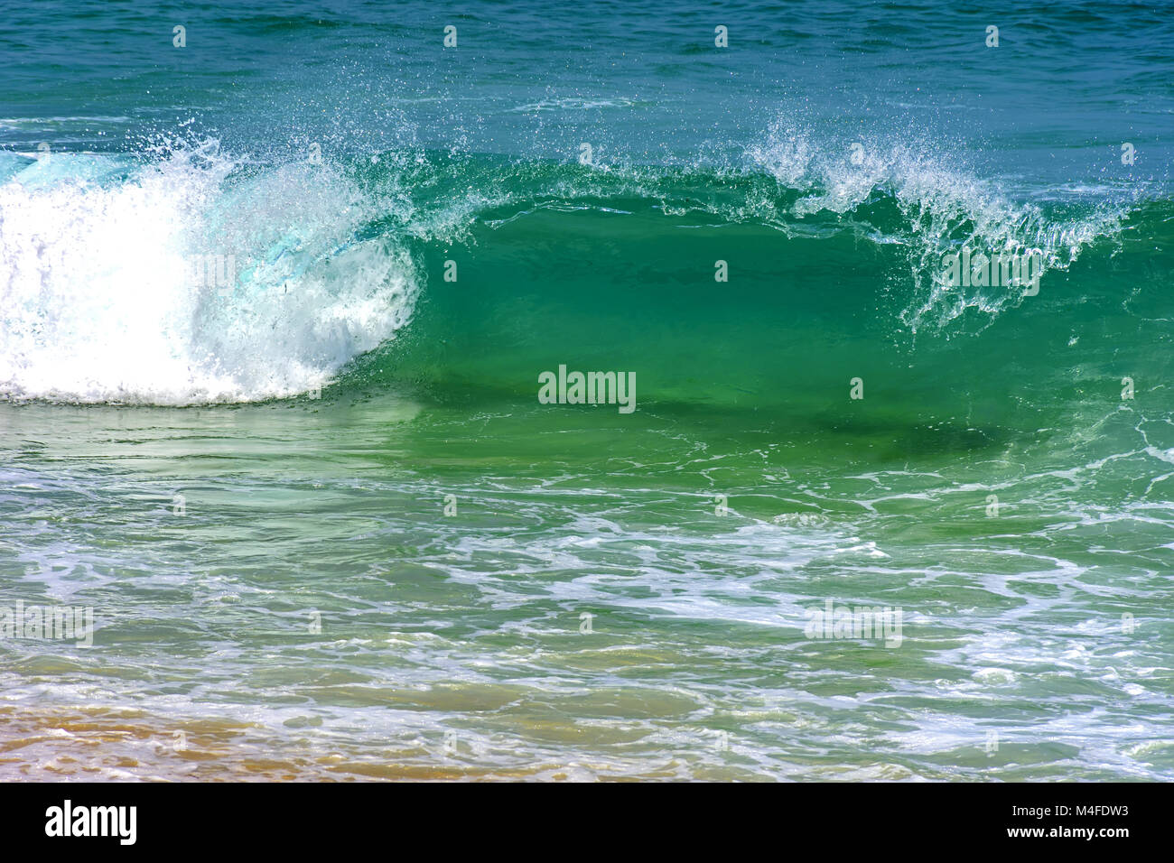Transparent green wave hi-res stock photography and images - Alamy
