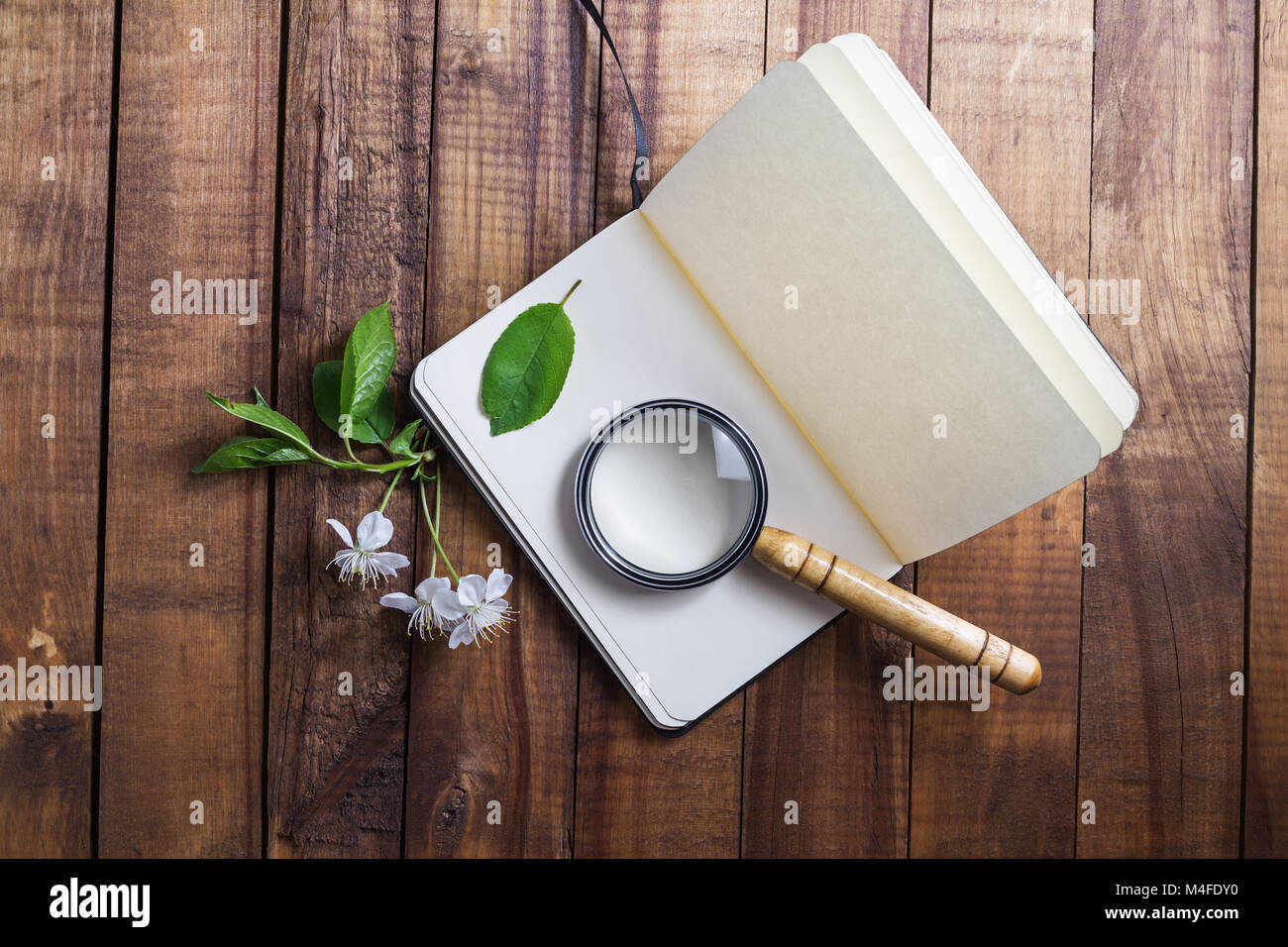 Vintage magnifying glass notebook hi-res stock photography and images ...