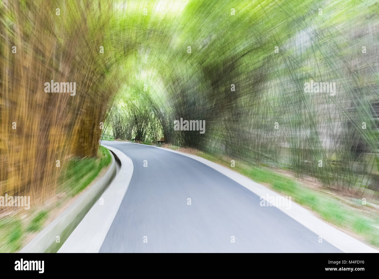 bamboo grove tunnel Stock Photo - Alamy