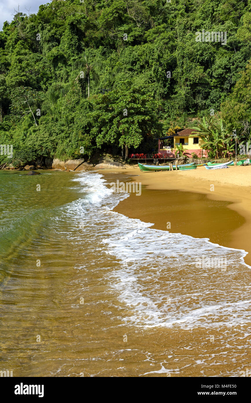 Rainforest beach hi-res stock photography and images - Alamy