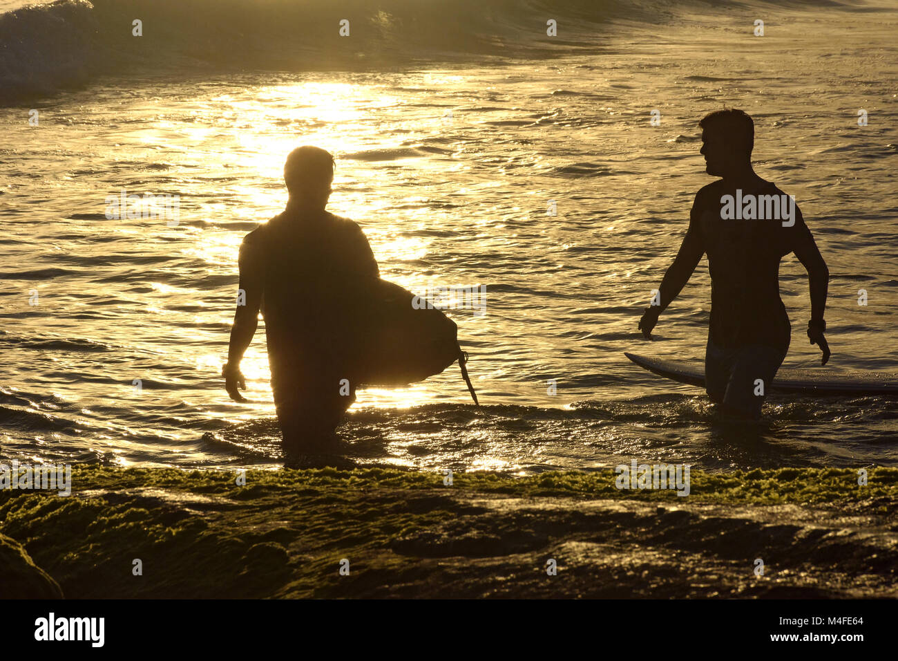 Surfer at sunset Stock Photo - Alamy